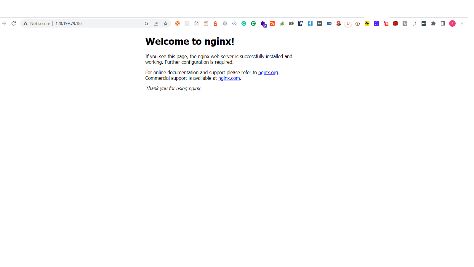 Lemp Stack Installation Complete Guide For Beginners